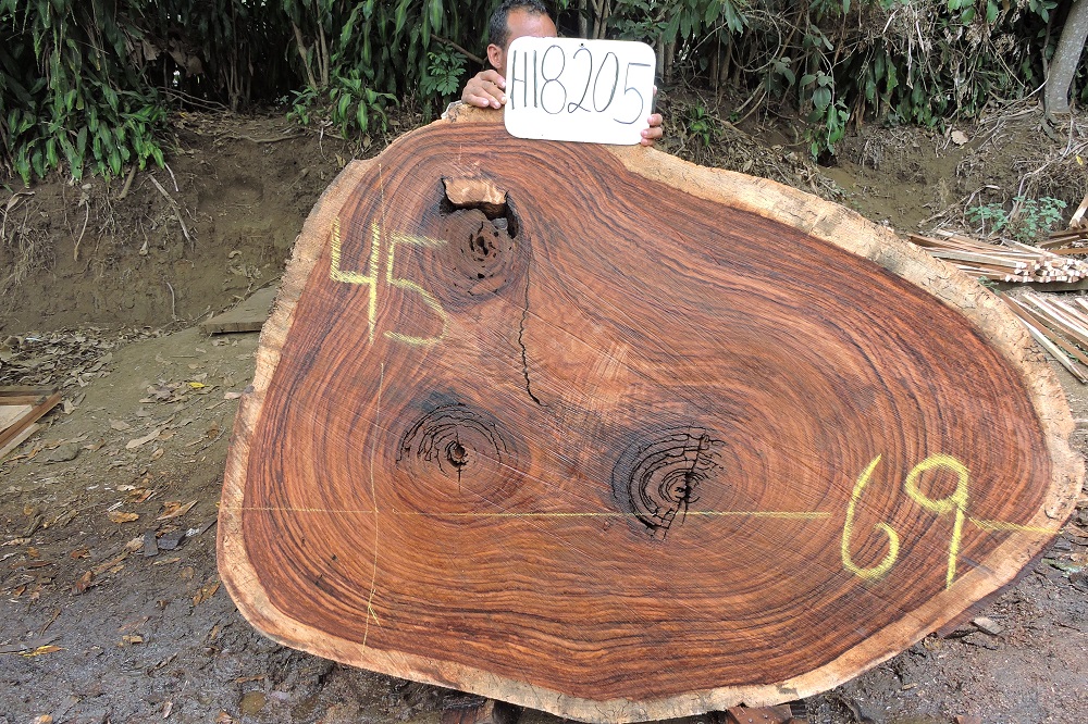 available-slabs – Live Edge Slabs