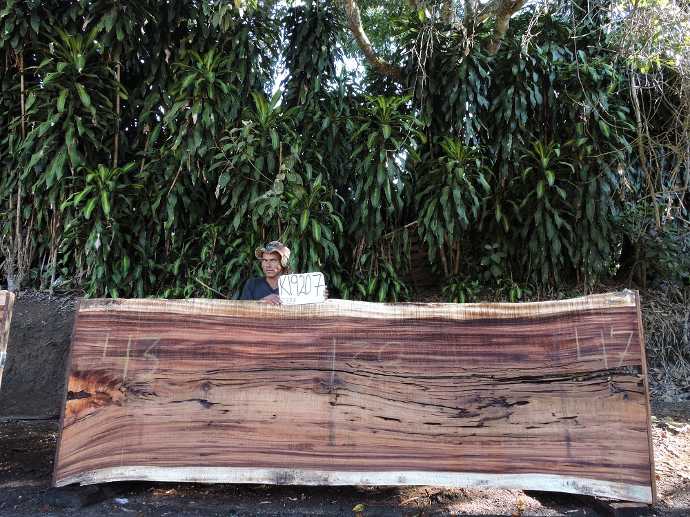 available-slabs – Live Edge Slabs